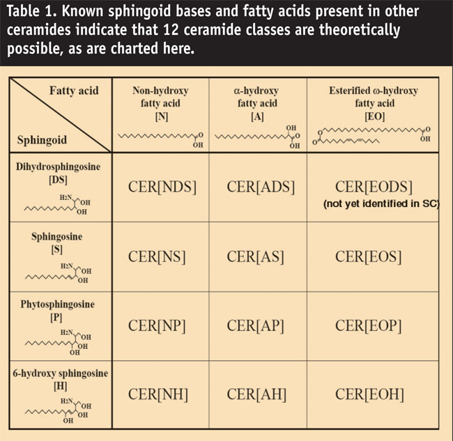 Developments in Ceramide Identification, Synthesis, Function and ...
