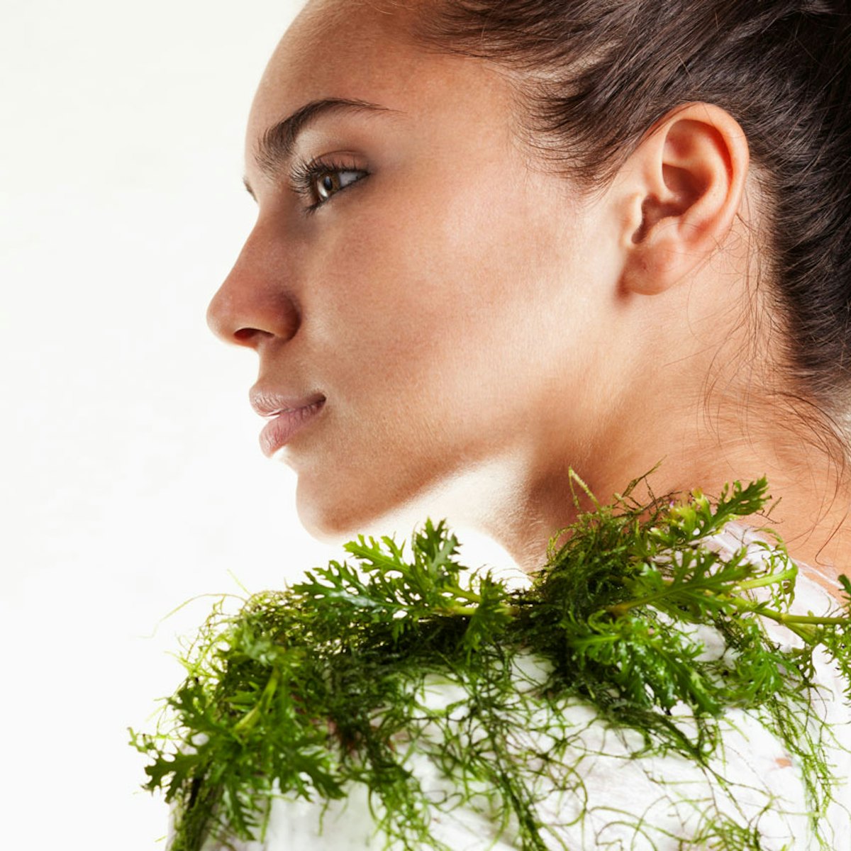 Innospec and Marinova Feature Fucoidan Skin Actives | Cosmetics ...