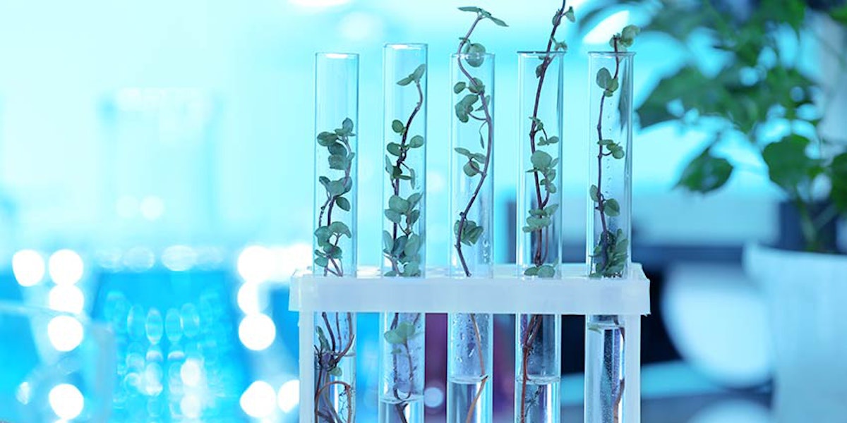 Lubrizol Actives to Be Operated Under Lipotec Brand | Cosmetics ...