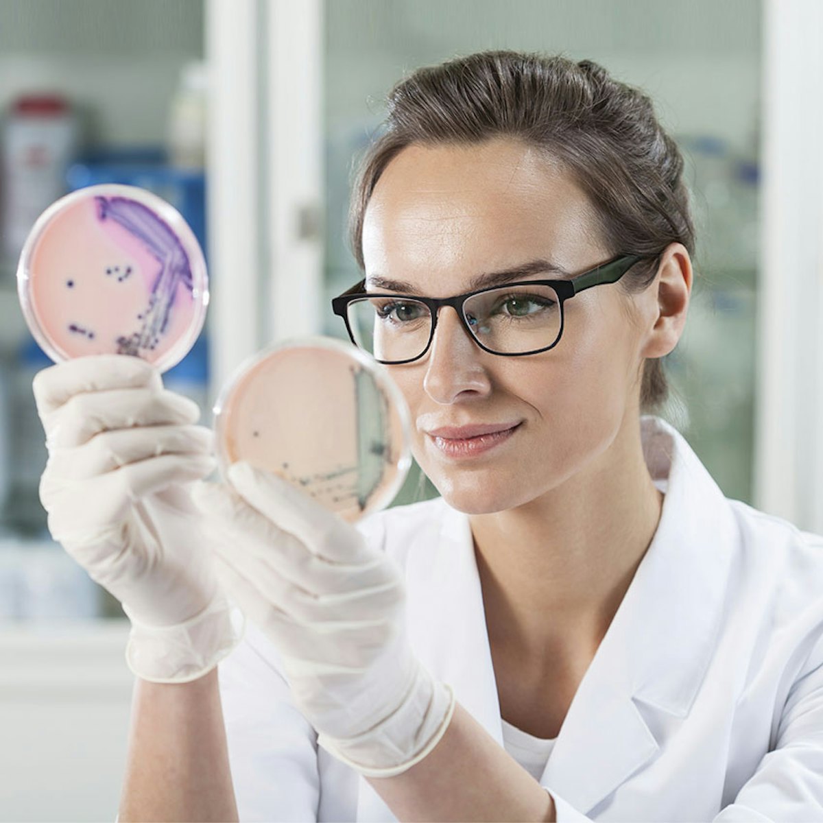 Is Your Microbiology Lab FDA-compliant? Part II: Cultures, Growth Media ...