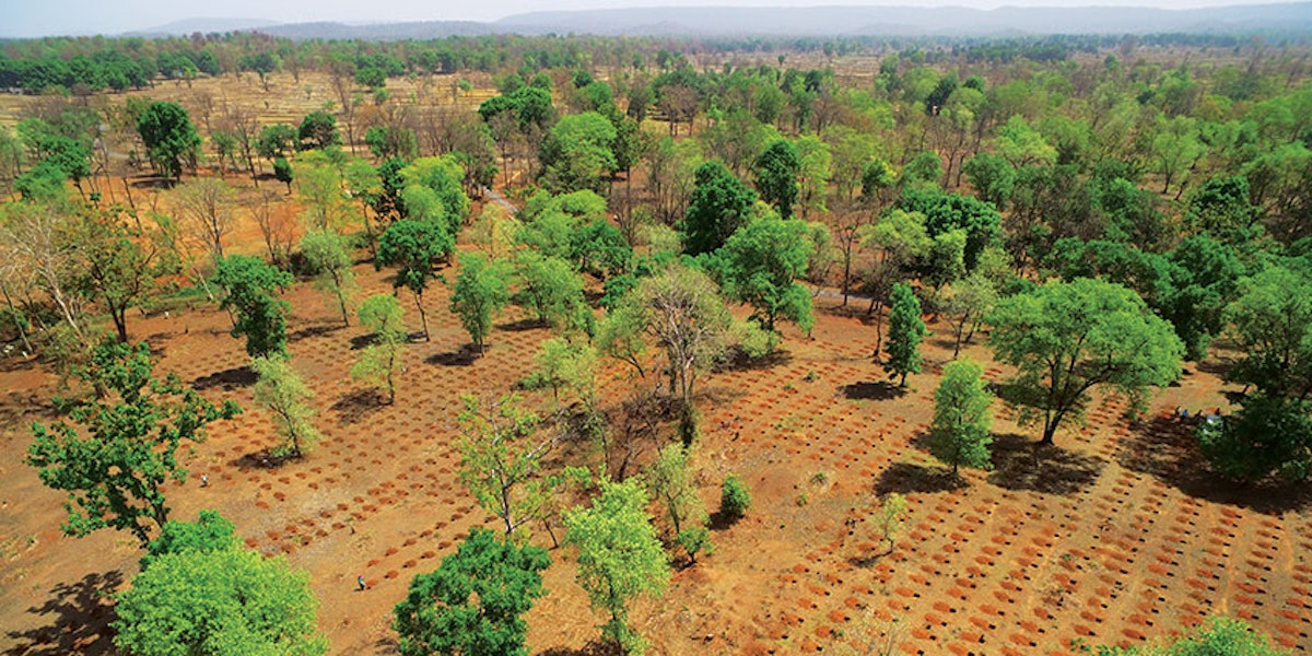 Sabinsa Cosmetics’ pTeroWhite | Cosmetics & Toiletries