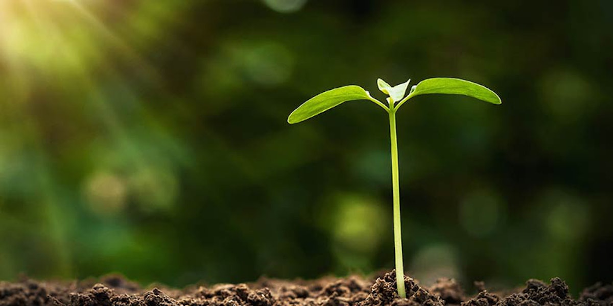 ChemSpec Achieves Full NACD Responsible Distribution Verification ...