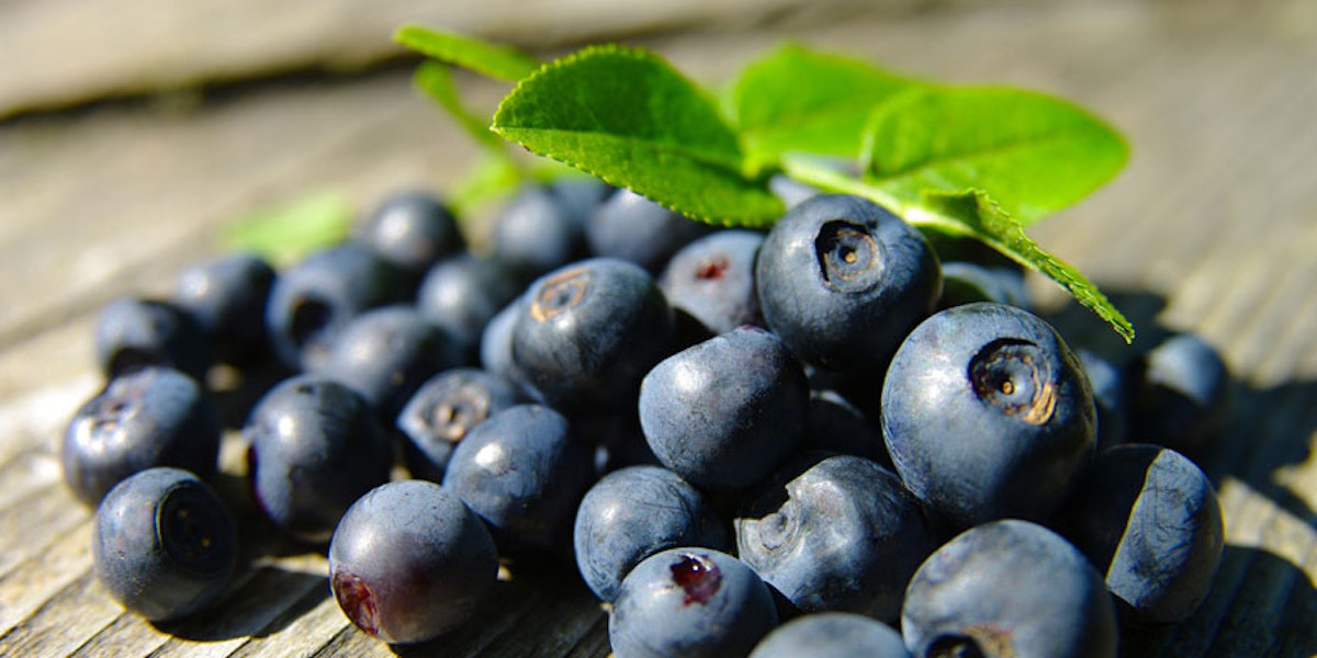 Indena Genetically Validates Bilberry Extract | Cosmetics & Toiletries