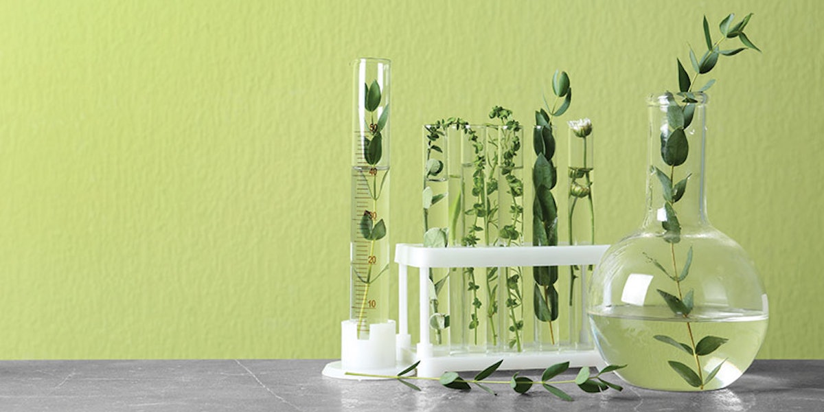 Natural Advocate: USDA BioPreferred Label Quantifies Bio-based Claims ...