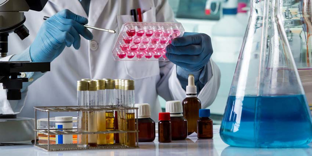 3D Skin Substrate Meets Speed, Complexity and ECM-based Research Needs ...