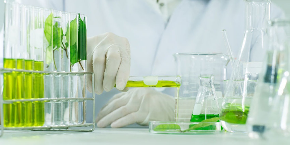 Sustainable, Circular and Aquatic-friendly: L'Oréal Commits to 'Green ...