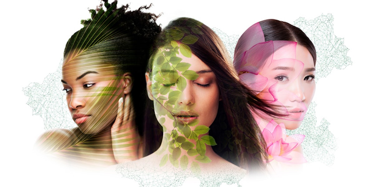 Lubrizol Launches Extracts Derived with Phenobio Technology | Cosmetics ...