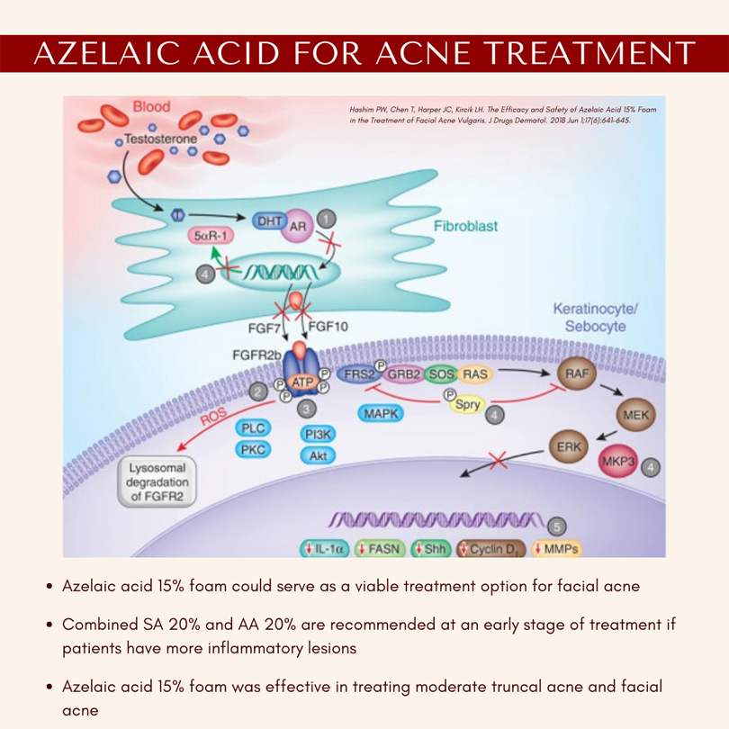 Why are Dermatologists Recommending Azelaic Acid? It’s the Unsung Hero ...