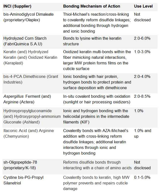 Remediating Hair Damage Through Hair Care Formulation Architectures ...