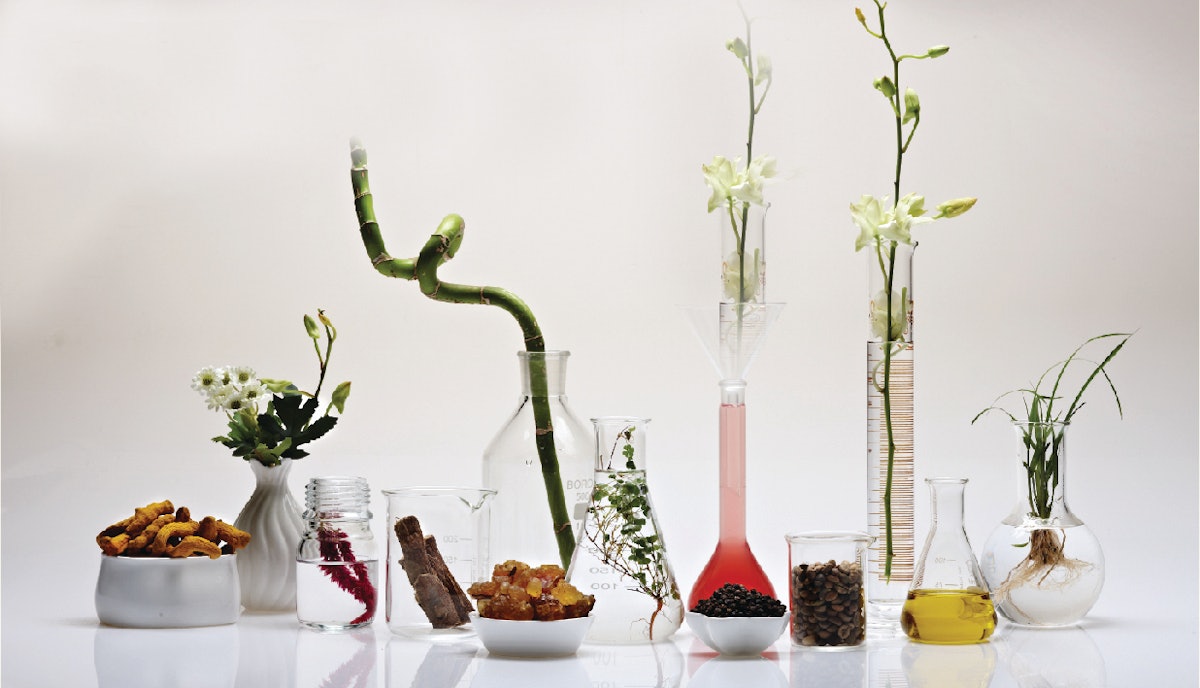 PteroWhite Sabinsa Corp. From: Sabinsa Cosmetics | Cosmetics & Toiletries