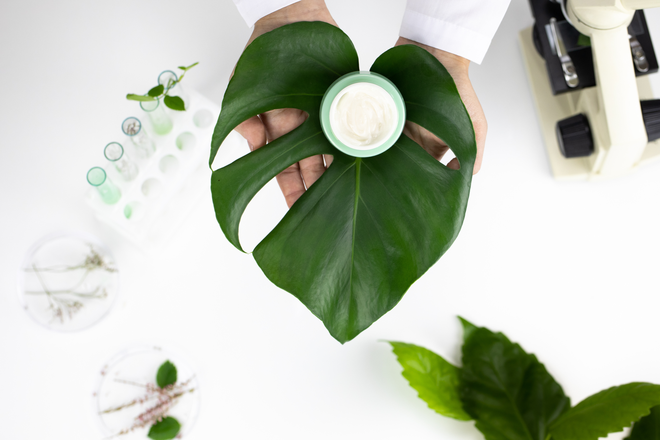2026 Beauty Innovation Starts Here: Cosmetics & Toiletries Reveals ...